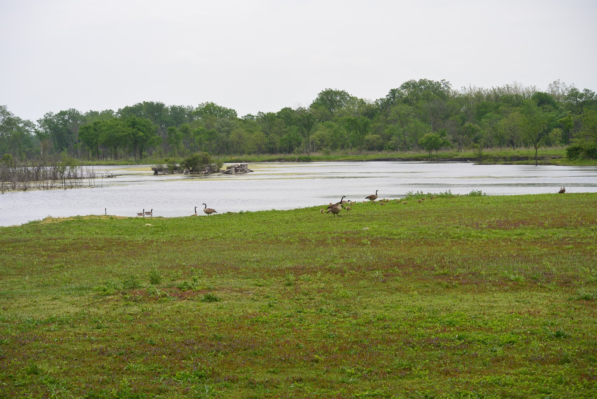 Sag Quarries | raddoc1947