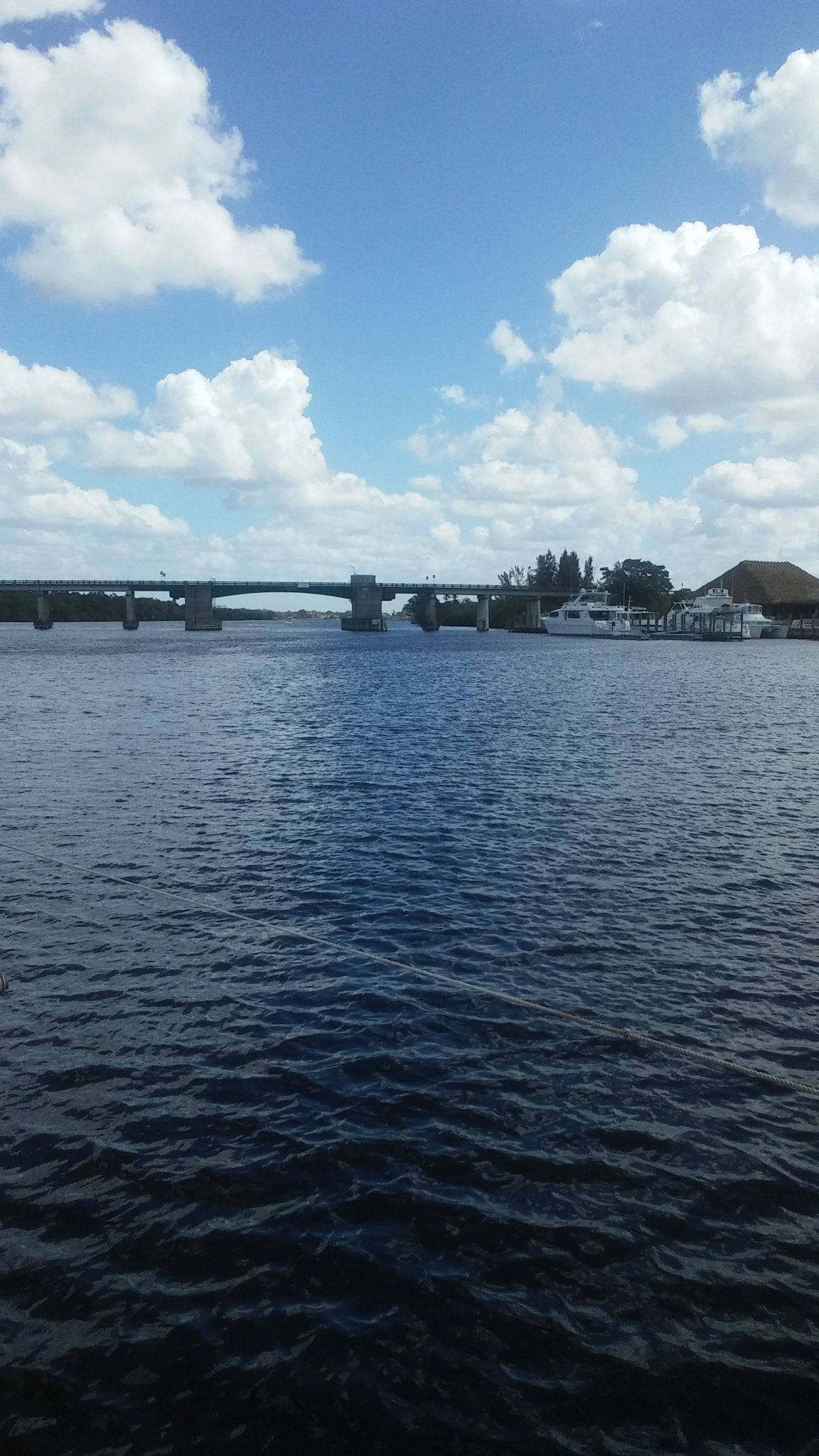 Wilson Pigott Bascule Bridge | raddoc1947