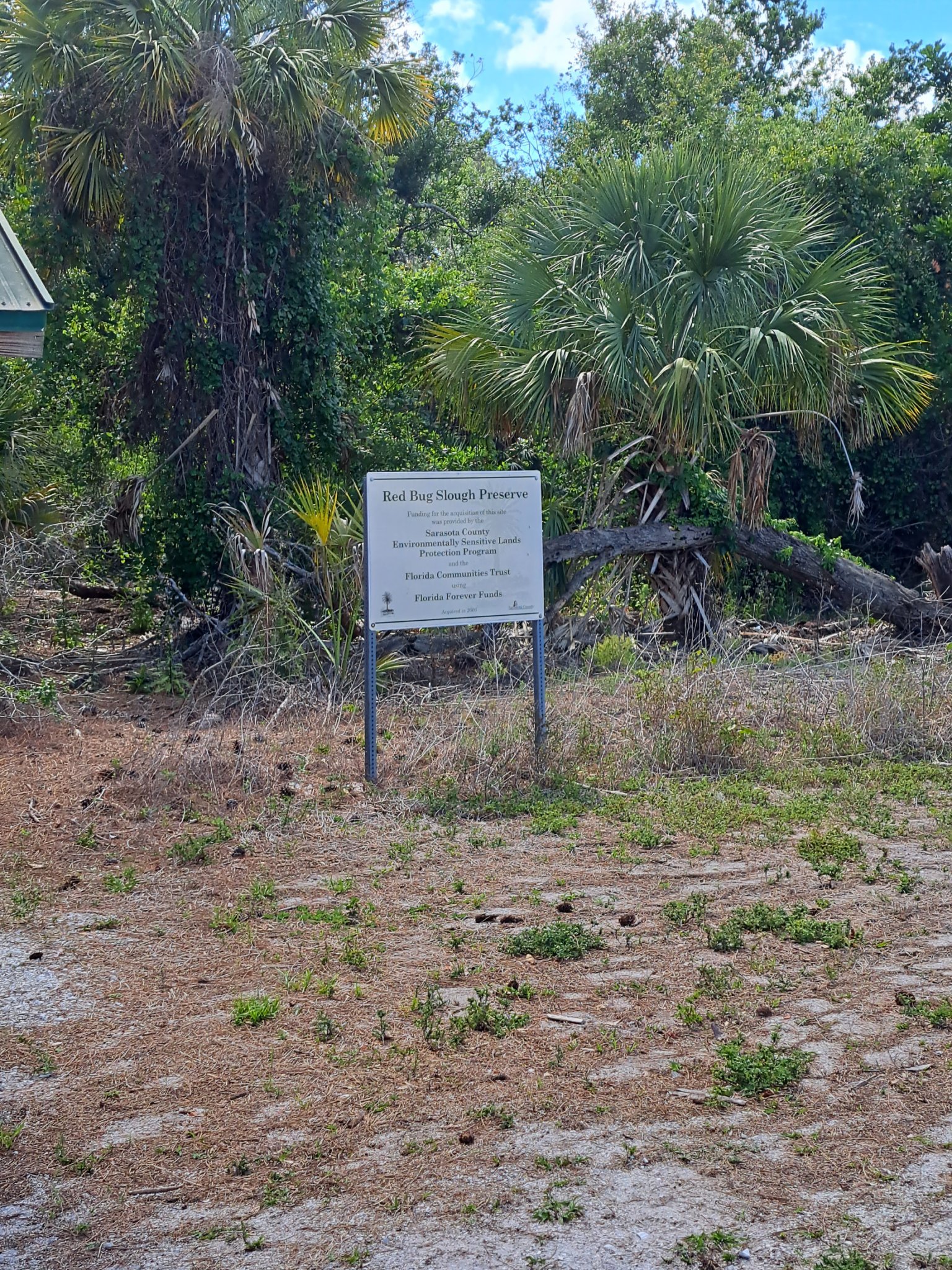 Red Bug Slough | raddoc1947